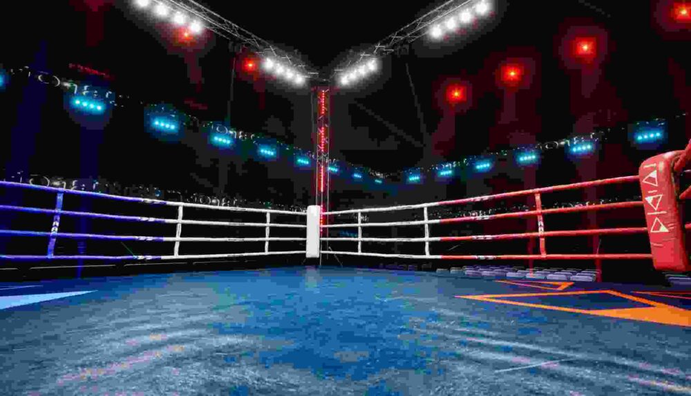 How boxing venues affect the fight night experience – Crane Wings